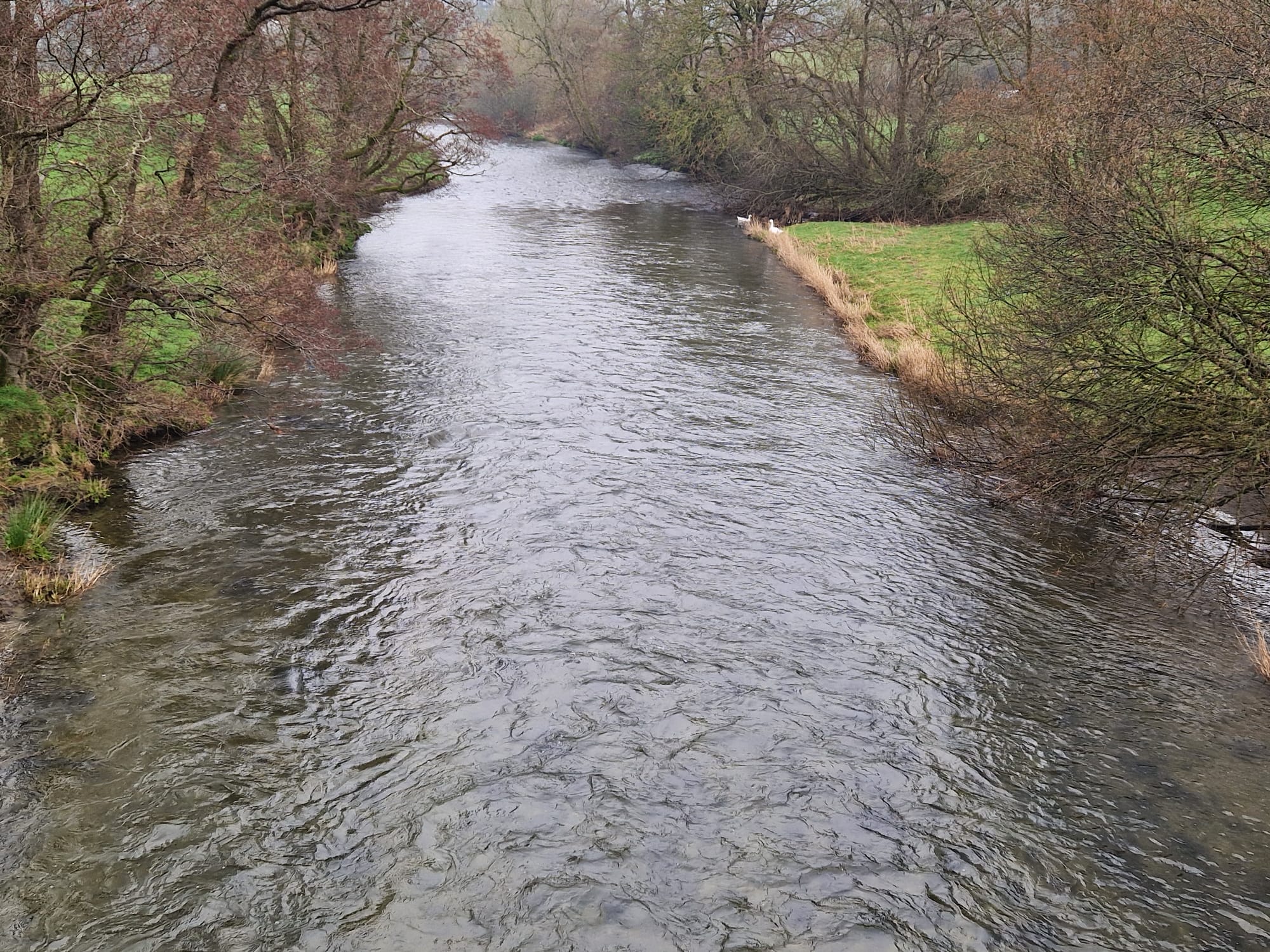 River Severn & Tributaries | Rivers Fishing | Warrington Anglers ...